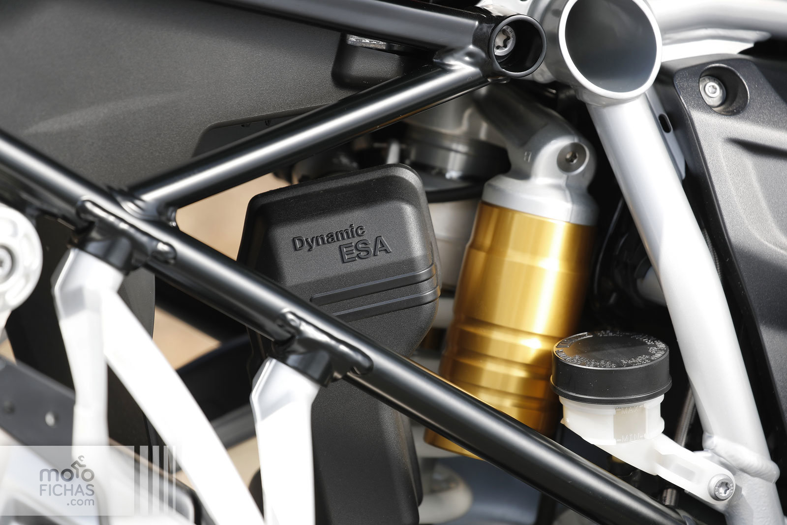 Comparativa BMW R 1250 GS 2019-2020 - Ducati Multistrada 1260/S 2018-2020