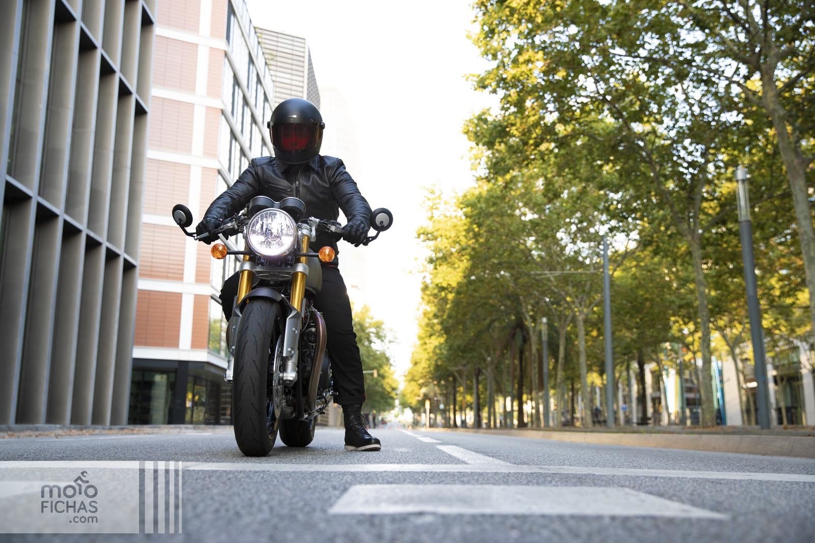 Comparativa Triumph Thruxton RS 2020-2024 - Norton Commando 961 Cafe ...