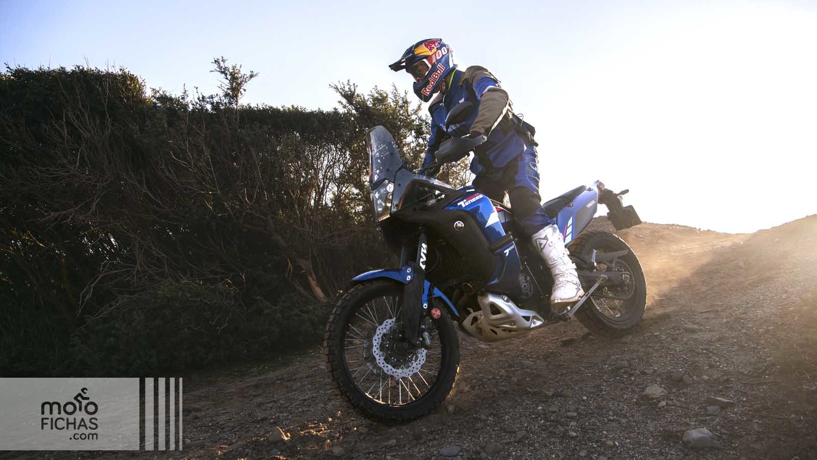 Comparativa Yamaha Ténéré 700 World Rally 2023 - Husqvarna Norden 901 ...